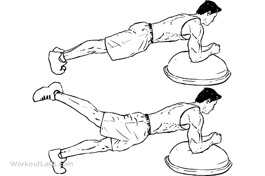 Bosu Ball Plank Leg Lift Illustrated Exercise Guide Workoutlabs