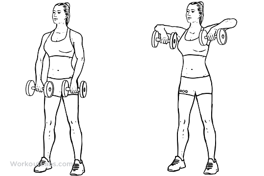 FITNESS EVERYONE Rutina De Ejercicios Casera FITNESS EVERYONE Rutina De Ejercicios Casera