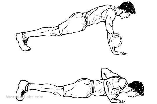 Single Arm Medicine Ball Push-Up | Illustrated Exercise guide - WorkoutLabs Single Arm Medicine Ball Push-Up | Illustrated Exercise guide - WorkoutLabs