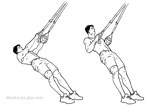 TRX Suspension Strap Rows | WorkoutLabs