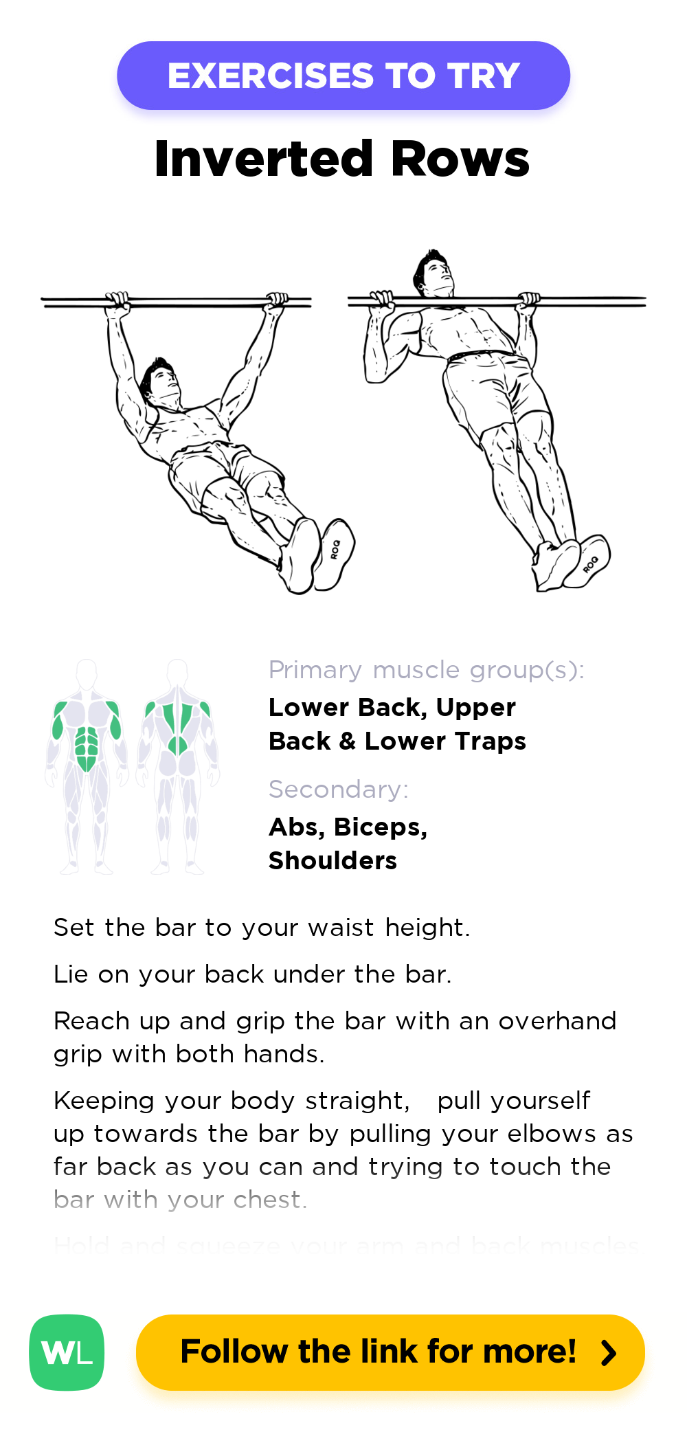 Inverted Row Exercise Instructions And Video Bodybuilding My XXX Hot Girl Inverted Row Exercise Instructions And Video Bodybuilding My XXX Hot Girl