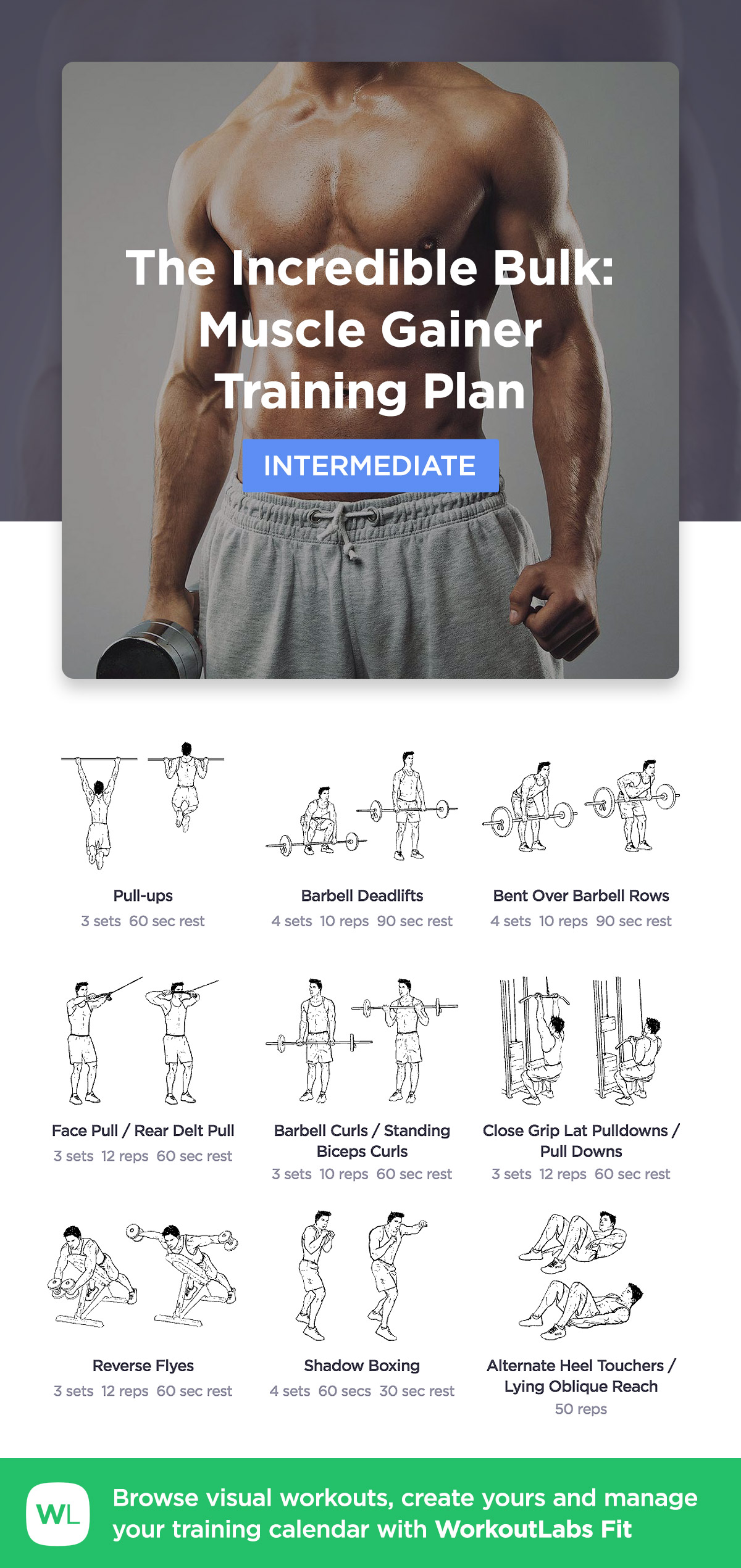 The Incredible Bulk Muscle Gainer WorkoutLabs Fit The Incredible Bulk Muscle Gainer WorkoutLabs Fit