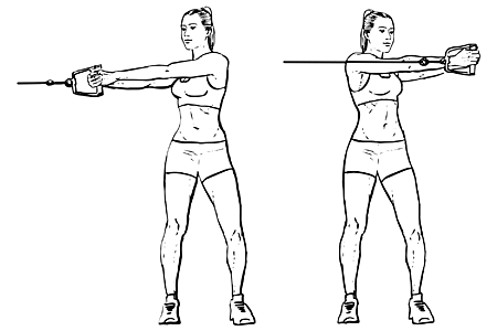 Chest, tri, and abs from WorkoutLabs