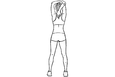 Full body stretch from WorkoutLabs