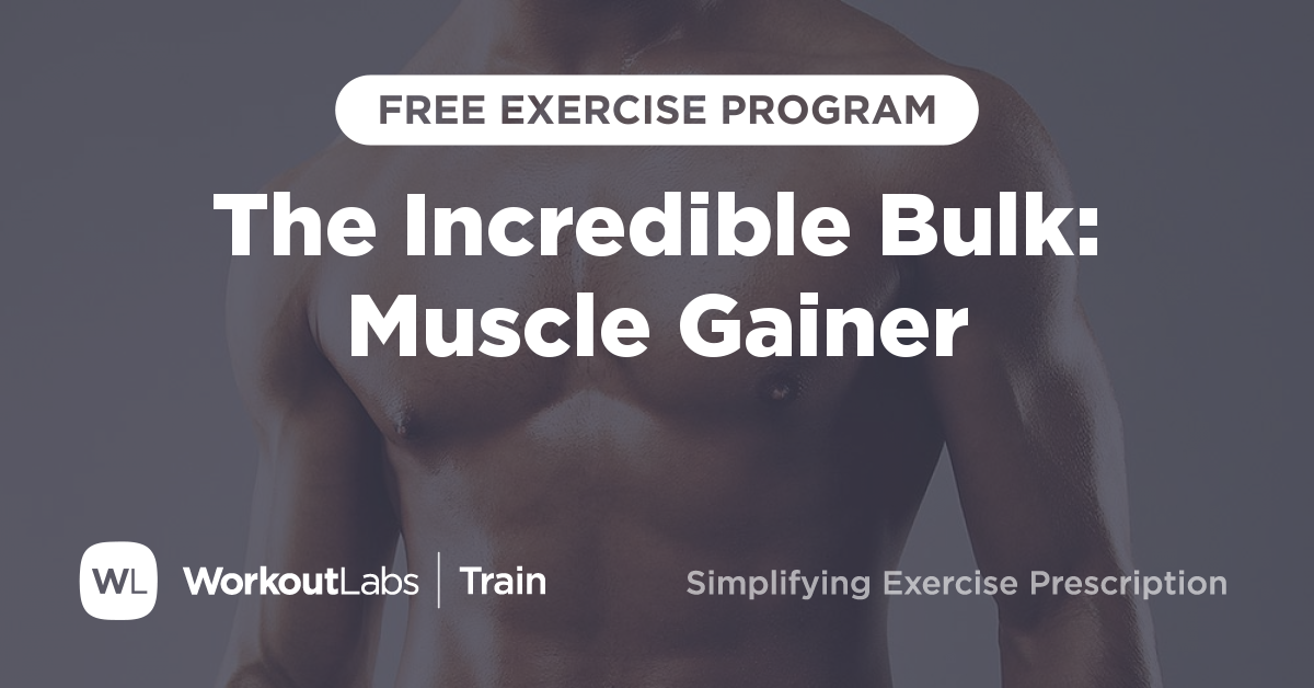 The Incredible Bulk: Muscle Gainer