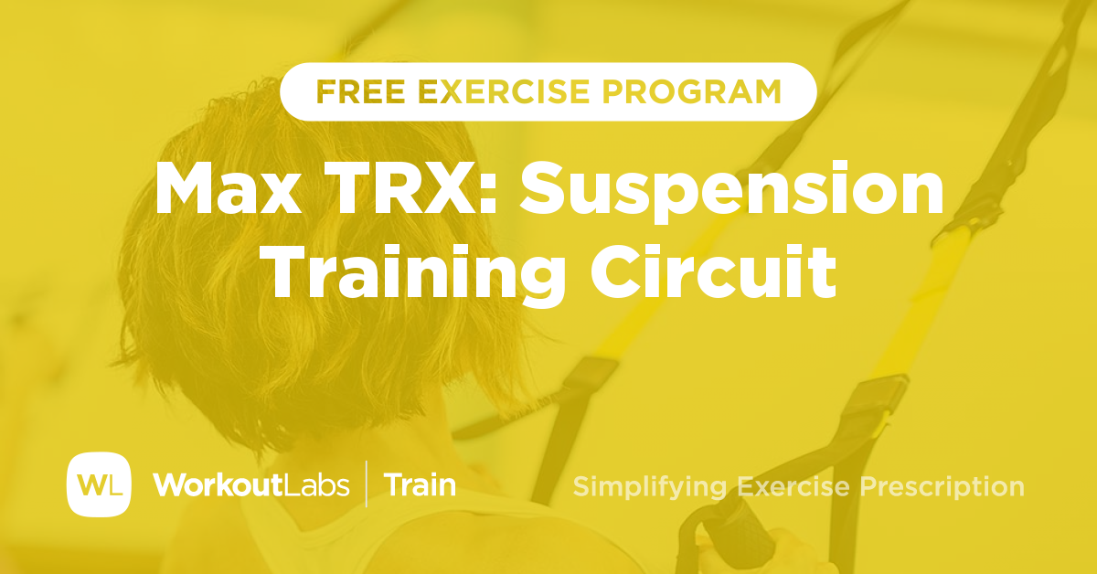 Max TRX: Suspension Training Circuit