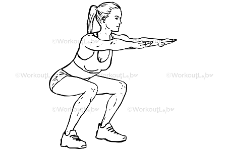 Static Squat Hold – WorkoutLabs Exercise Guide