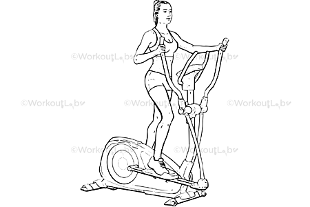 Cardio – Cross Trainer / Crosstrainer Machine – WorkoutLabs Exercise Guide