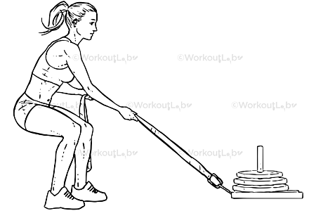 Sled Pulls – WorkoutLabs Exercise Guide