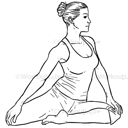 Deer () – Yoga Poses Guide by WorkoutLabs