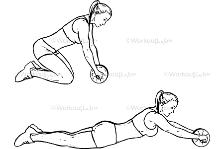 Ab Roller / Wheel Rollout / Kneeling Roll Extensions – WorkoutLabs ...