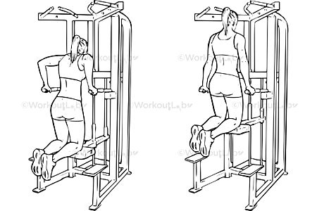 Assisted Tricep Dips – WorkoutLabs Exercise Guide