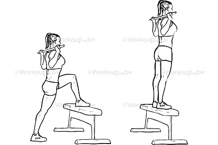 Barbell Step-ups – WorkoutLabs Exercise Guide