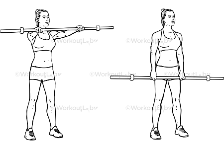 Barbell Front Raises – WorkoutLabs Exercise Guide