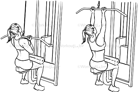 Close Grip Lat Pulldowns / Pull Downs / Pullovers – WorkoutLabs Exercise Guide