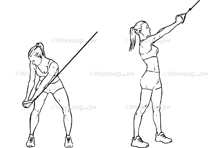 Downward Cable Wood Chops – WorkoutLabs Exercise Guide