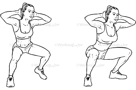 Duck Walks / Squats – WorkoutLabs Exercise Guide