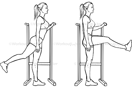 Forward Leg Hip Swings – WorkoutLabs Exercise Guide