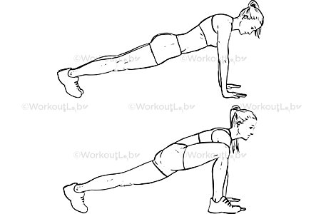 Groiners – WorkoutLabs Exercise Guide