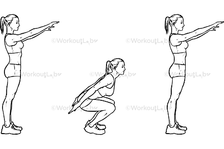 Hindu Squats – WorkoutLabs Exercise Guide