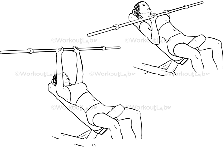 Incline Close-Grip / Bench Presses – WorkoutLabs Exercise Guide