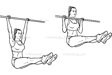 L-Sit Pull Ups / Pull-Ups – WorkoutLabs Exercise Guide