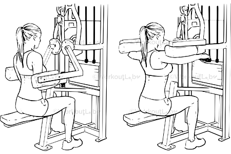 Lateral Raise Machine – WorkoutLabs Exercise Guide