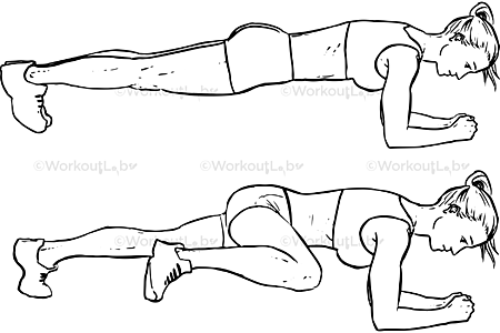 Plank Knee to Elbow – WorkoutLabs Exercise Guide