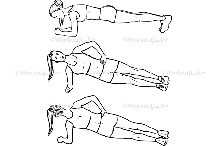 Plank Rolls / Planks – WorkoutLabs Exercise Guide