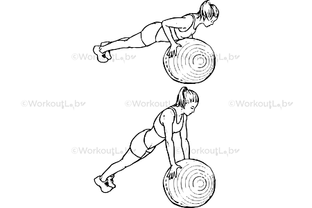 Swiss / Exercise Ball Push Ups / Press Ups – WorkoutLabs Exercise Guide