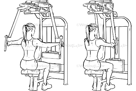 Rear Delt Machine Flyes – WorkoutLabs Exercise Guide