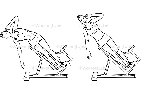 Roman Chair / Hyperextension Bench Side Bends – WorkoutLabs Exercise Guide