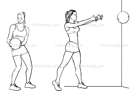 Side / Lateral Medicine Ball Throw / Slam – WorkoutLabs Exercise Guide