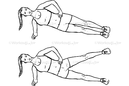 Side Plank Leg Raises – WorkoutLabs Exercise Guide