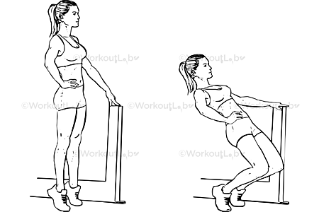 Sissy Squats – WorkoutLabs Exercise Guide