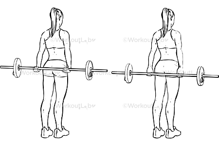 Behind-the-Back Standing Bicep Curls – WorkoutLabs Exercise Guide