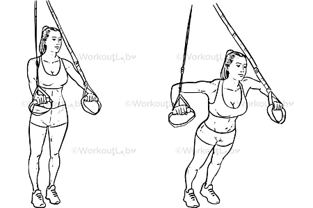 TRX Suspension Straps Chest Press – WorkoutLabs Exercise Guide