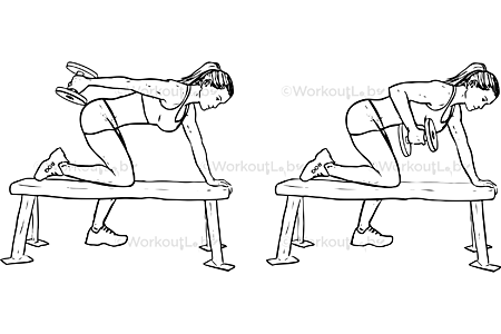 Tricep Dumbbell Kickbacks – WorkoutLabs Exercise Guide