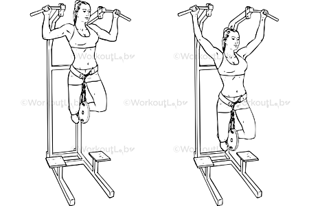 Weighted Pull-Ups / Pullups – WorkoutLabs Exercise Guide
