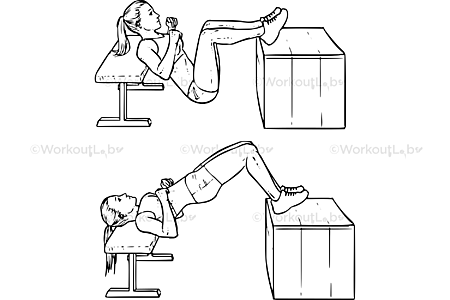 Elevated/Barbell Glute Bridges/Hip Raises – WorkoutLabs Exercise Guide