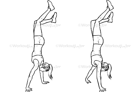 Handstand Walks/Hand Walking – WorkoutLabs Exercise Guide