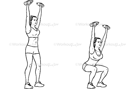 Overhead Water Bottle Squats – WorkoutLabs Exercise Guide