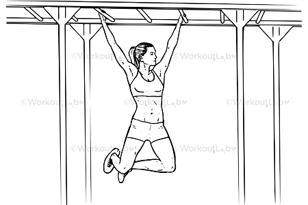Monkey Bars/Climbing Frame – WorkoutLabs Exercise Guide