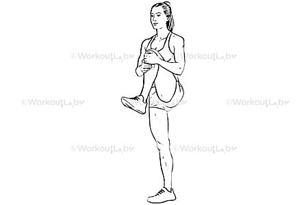Standing Knee Hugs – WorkoutLabs Exercise Guide