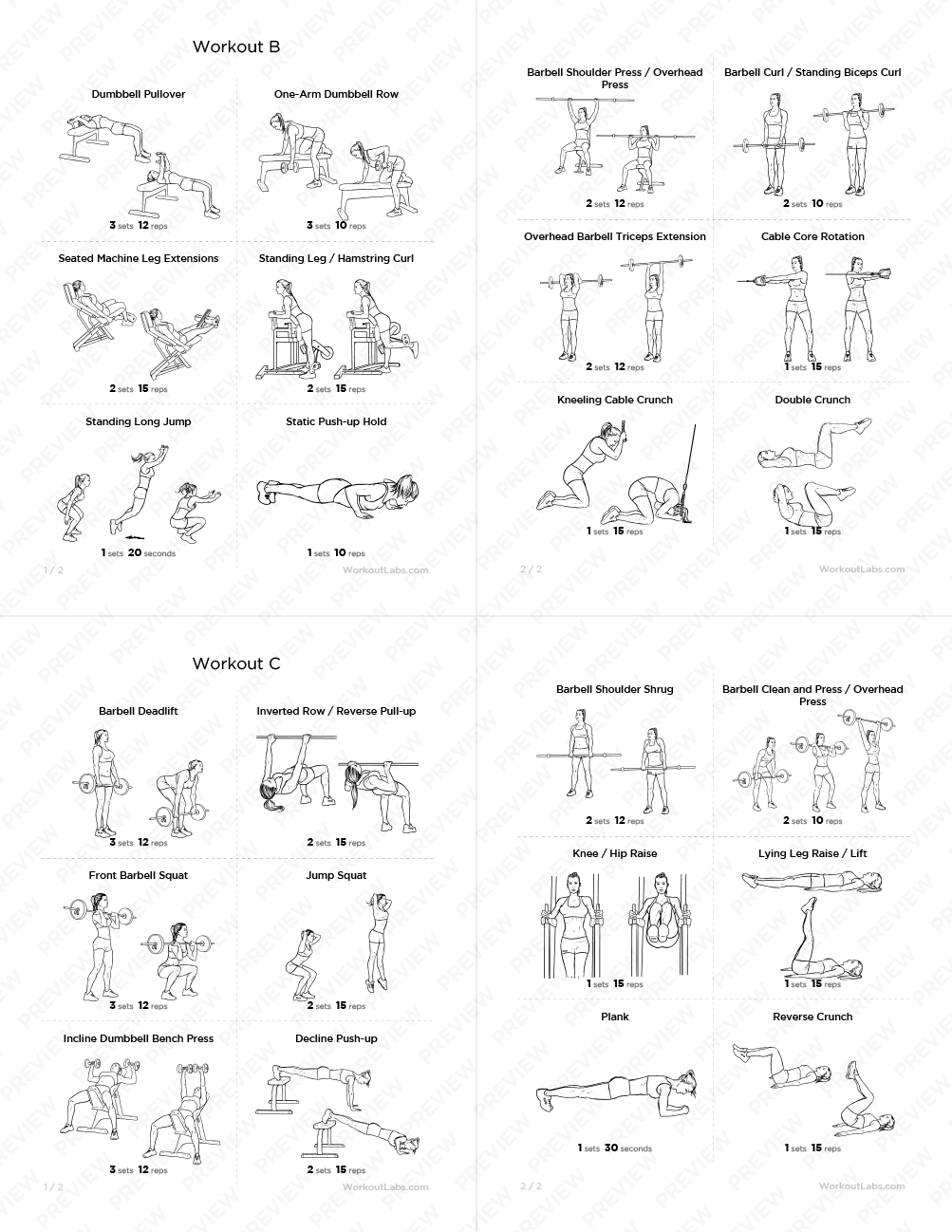 Full Body Gym Workout Pack For Beginners Full Body Gym Workout Pack For Beginners