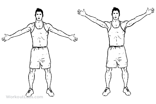 Standing Arm Circles | WorkoutLabs
