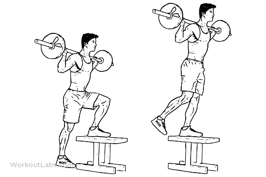 Barbell Step Ups