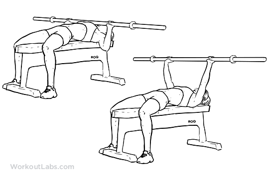Barbell Bench Press / Chest Press | Illustrated Exercise guide ...