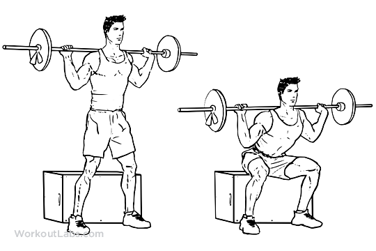 Barbell Box Squats | WorkoutLabs