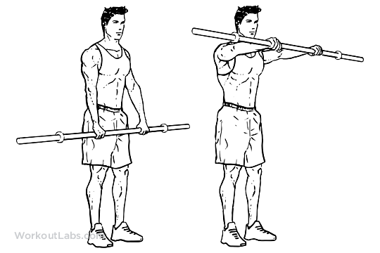 Barbell Front Raises | WorkoutLabs